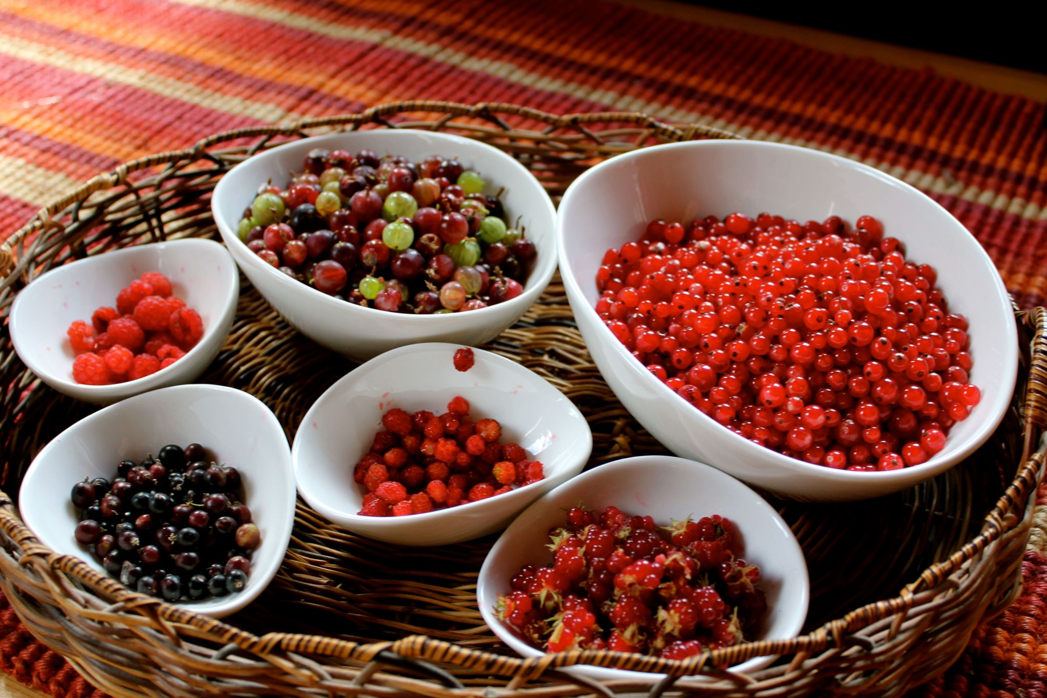 Saskatoon Berries | cabinorganic