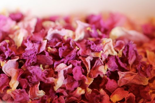wild rose petals | cabinorganic