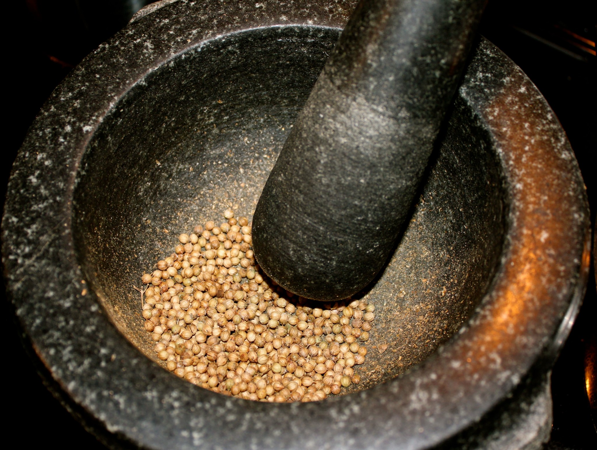 harvesting coriander seed for the kitchen | cabinorganic