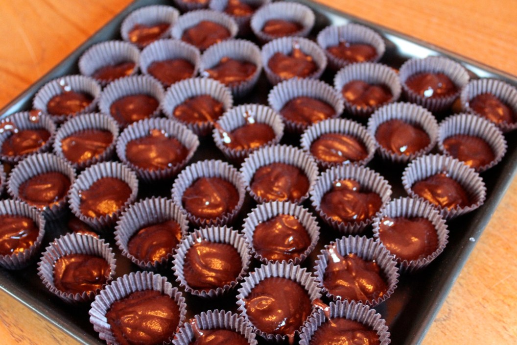 discovering raw chocolate at the Devonian Botanical Garden and making ...